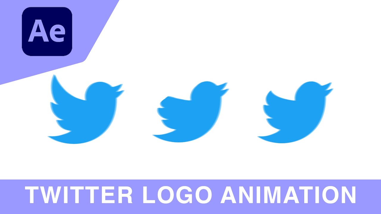 Twitter logo animation | Adobe After Effects. - YouTube