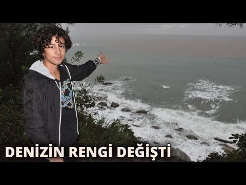 Karadeniz’in rengi değişti