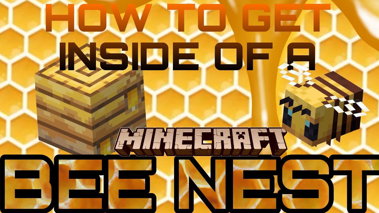 How to get inside Bee nest Minecraft Pocket Edition - YouTube