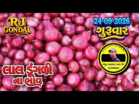 Dungri Na Bhav | 24-09-2026 | Onion Market | RJ Gondal | Gondal Market Yard Na Bhav