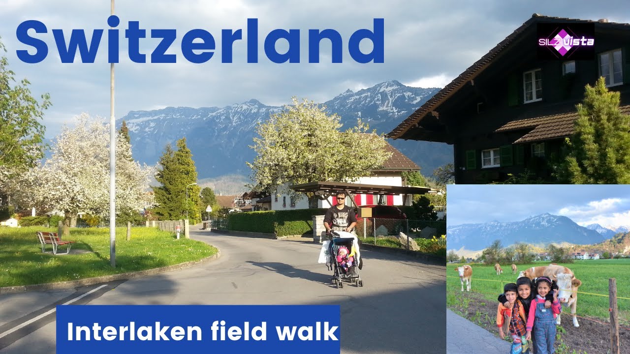 Travel vlog#11-A walk through Interlaken, Swiss - Meadows full of ...