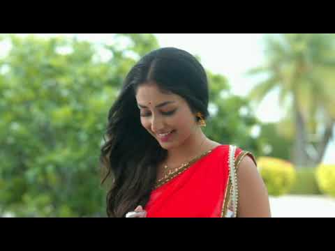 Small Bandita VS Big Bandita //Whatsapp status video best. Please like and subscribe and share.
