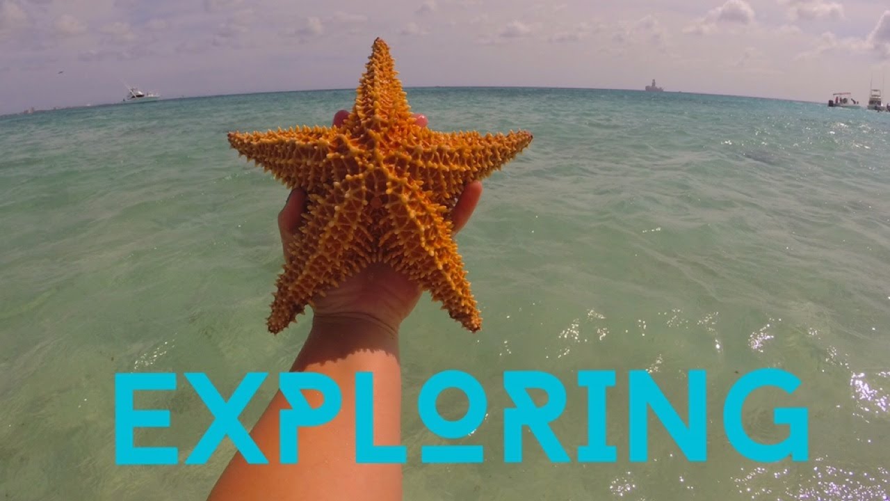 Exploring the Island - YouTube