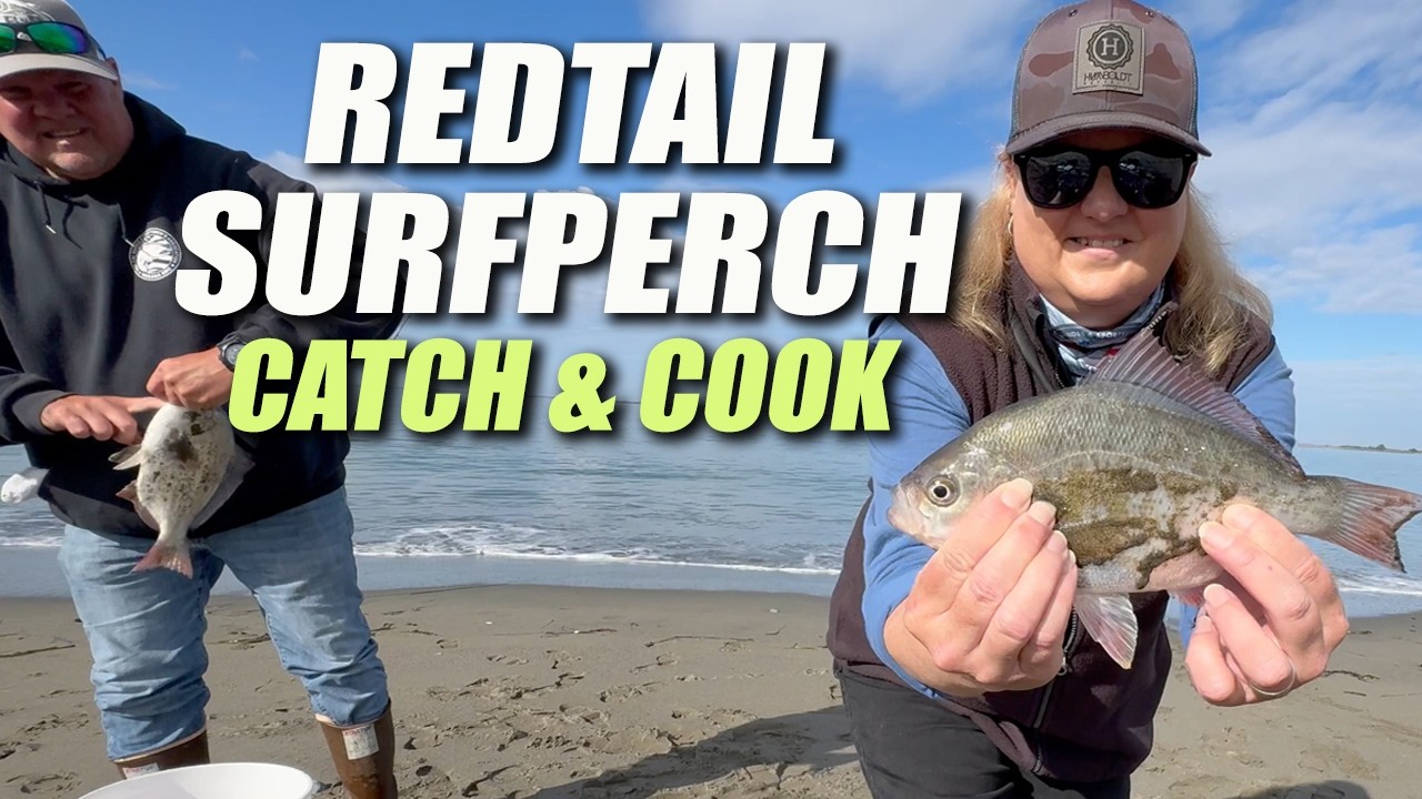 Redtail Surfperch Catch and Cook - YouTube