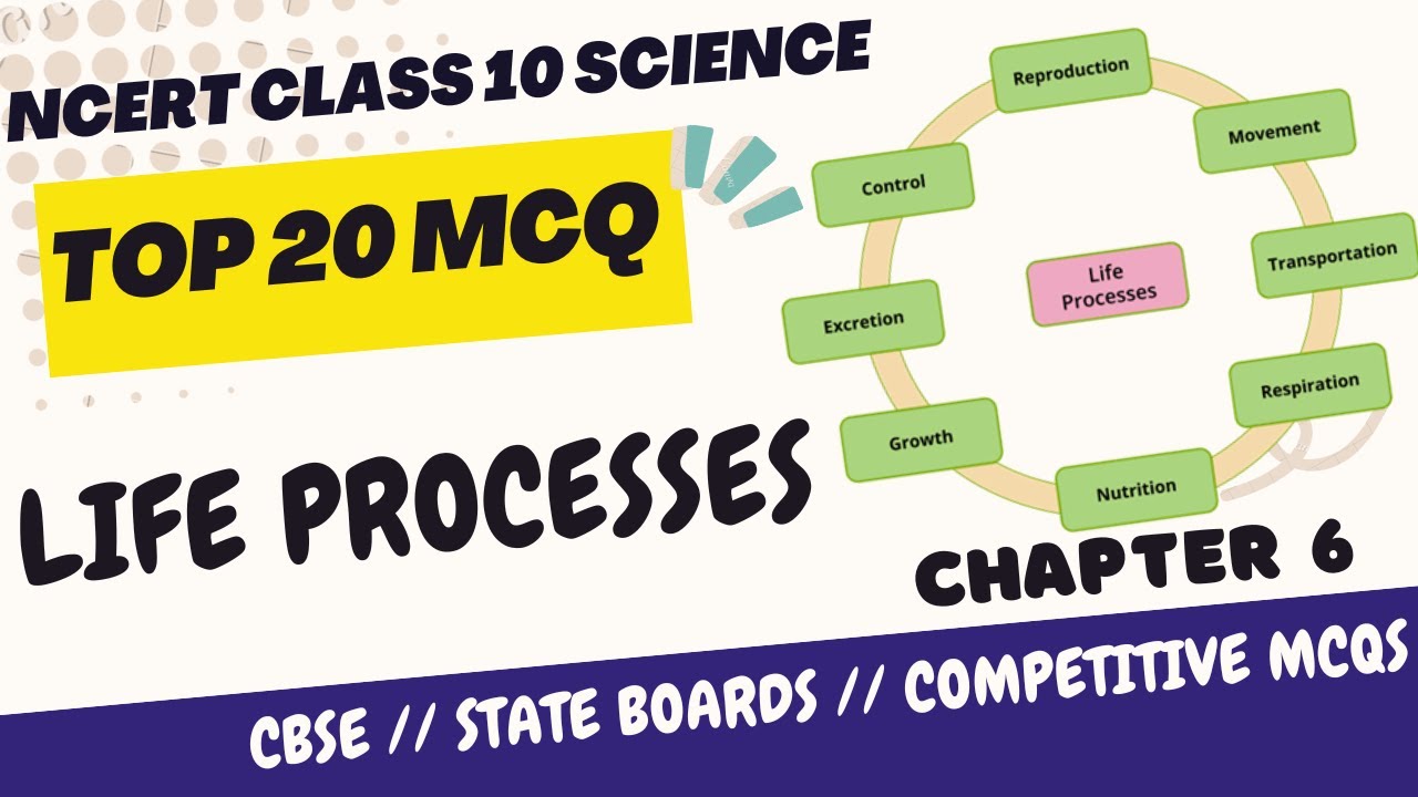 NCERT MCQ Life Processes Class 10 Biology | Class 10 Life Processes ...