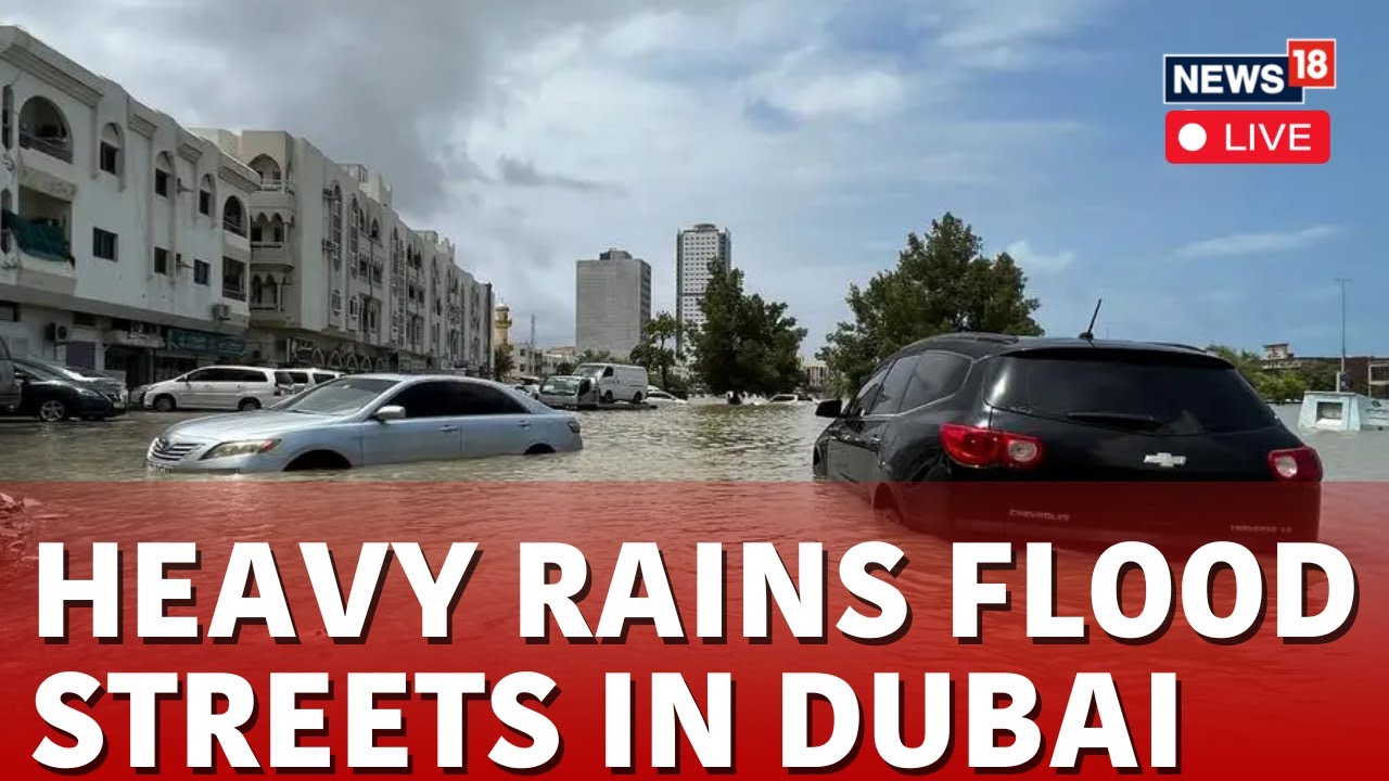 Dubai Rain News Live Today | UAE Rain News | UAE Residents Wake Up To ...