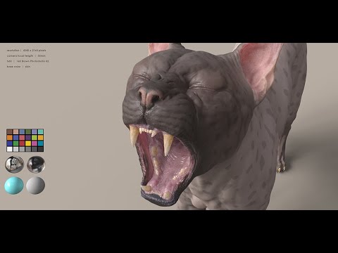 Groom Ready Iberian Lynx with muscle and bone system - YouTube