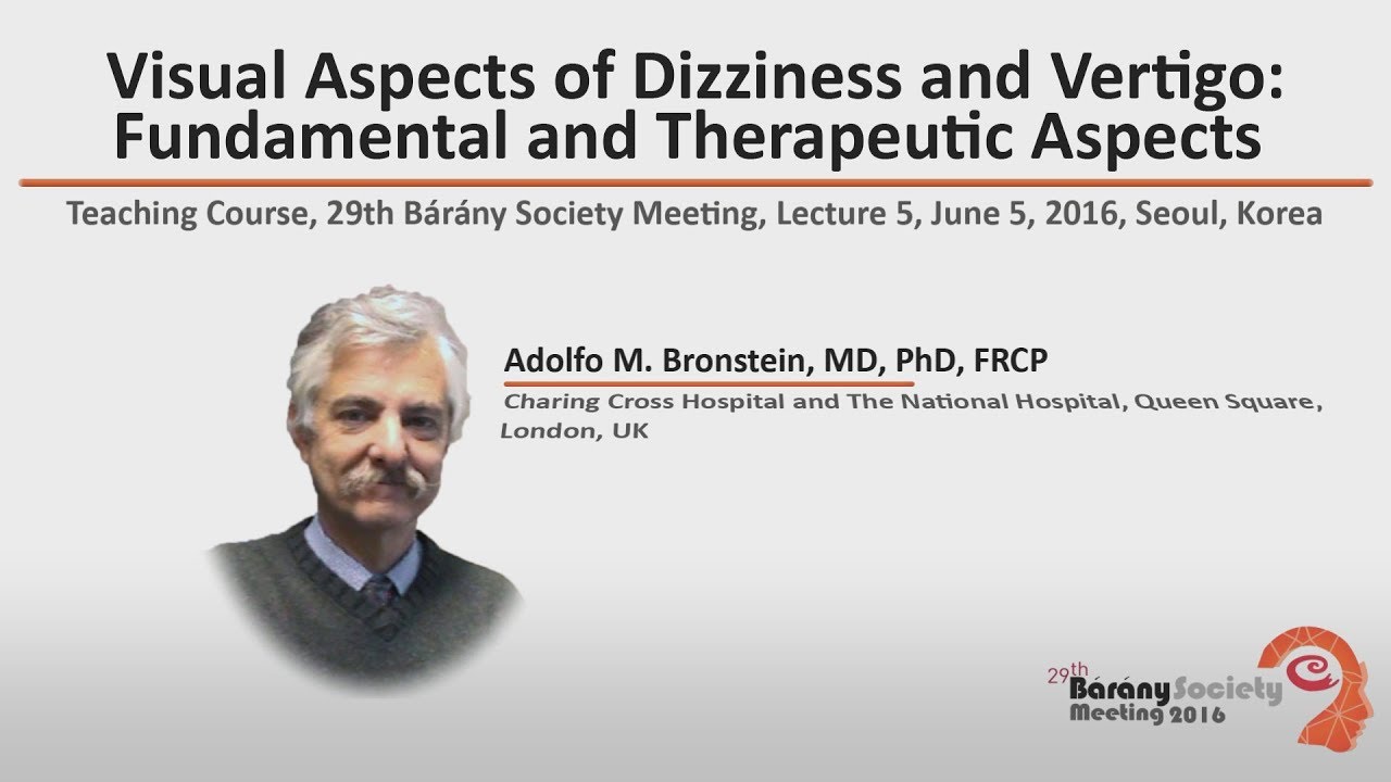 Visual Aspects of Dizziness and Vertigo: Fundamental and Therapeutic ...