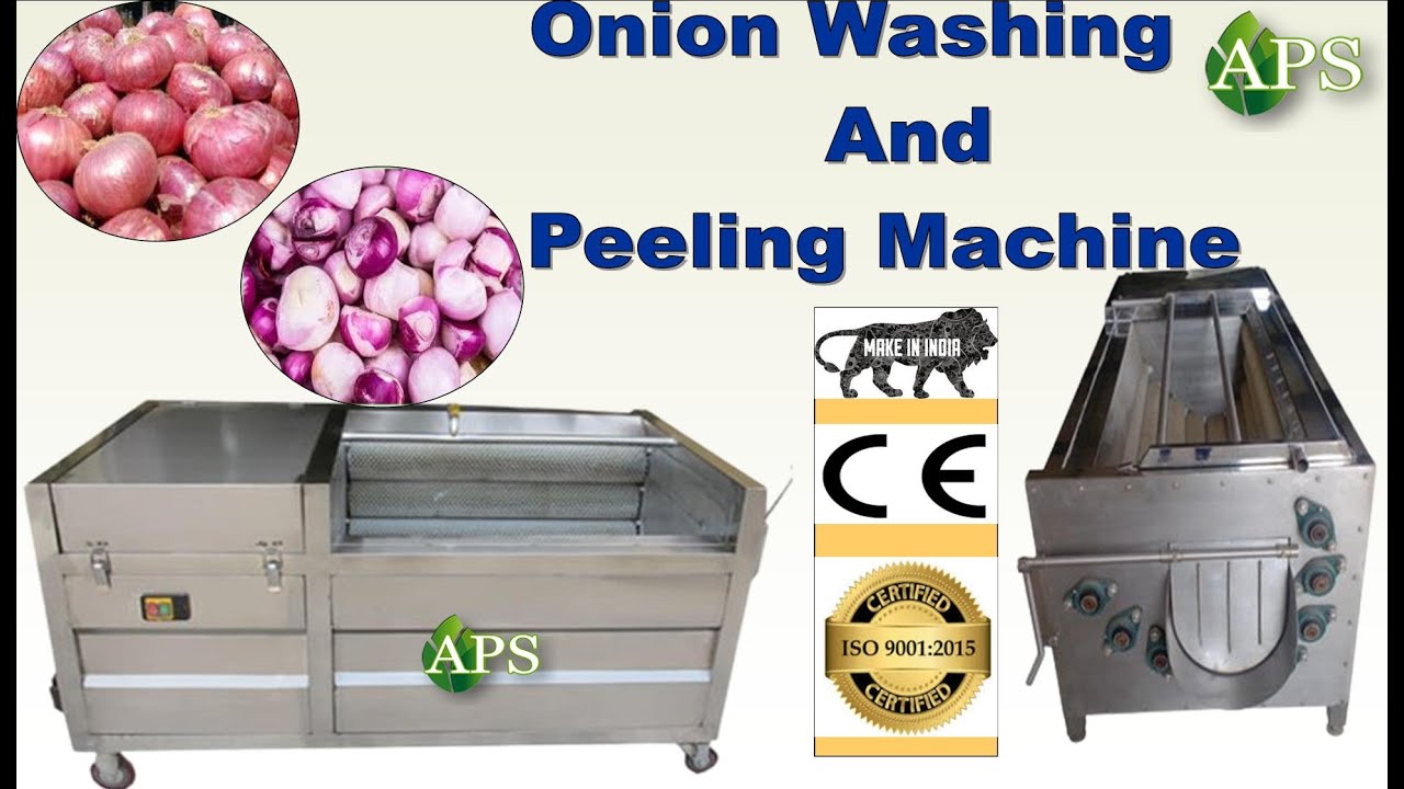 Automatic Onion Washing And Peeler | New Business Ideas In APS ...