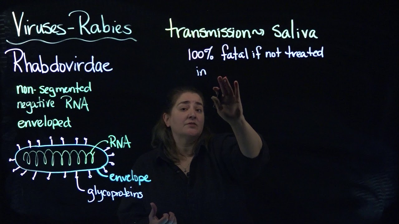 Rabies - YouTube