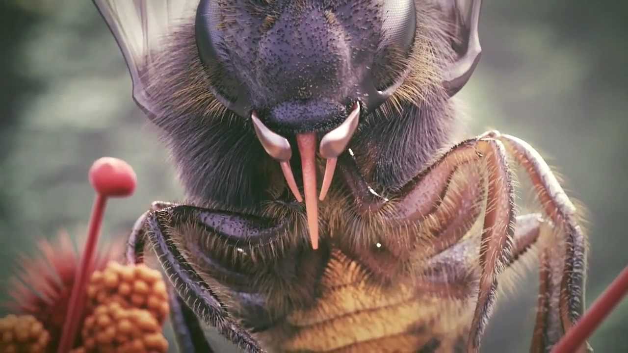 Studio Aiko demo reel 2012 - YouTube