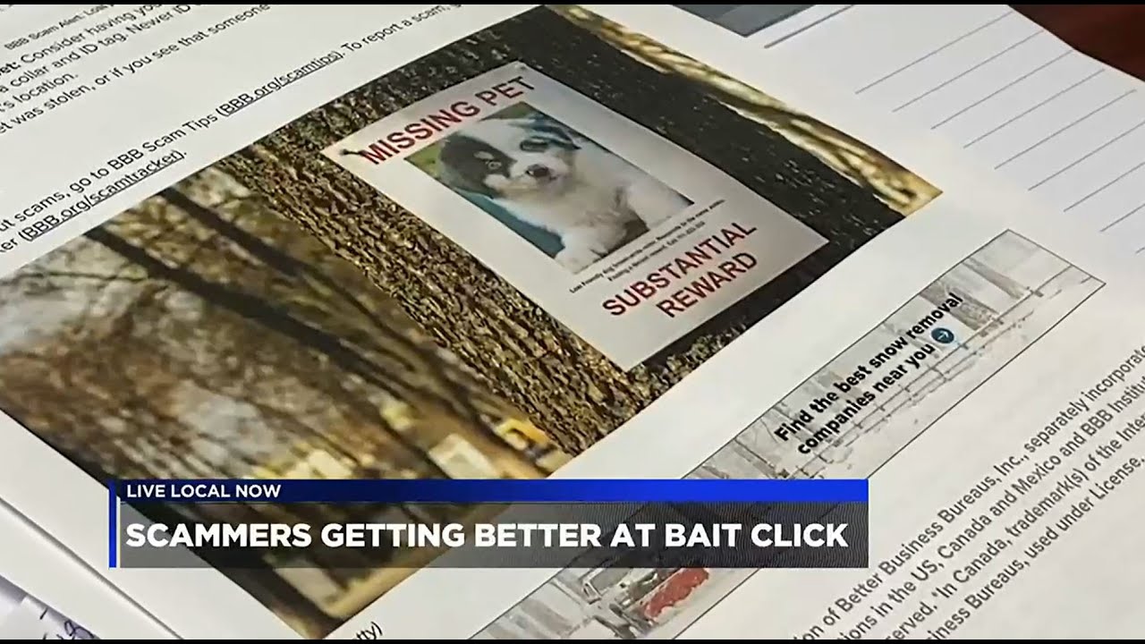 BBB warns of lost pet scams - YouTube