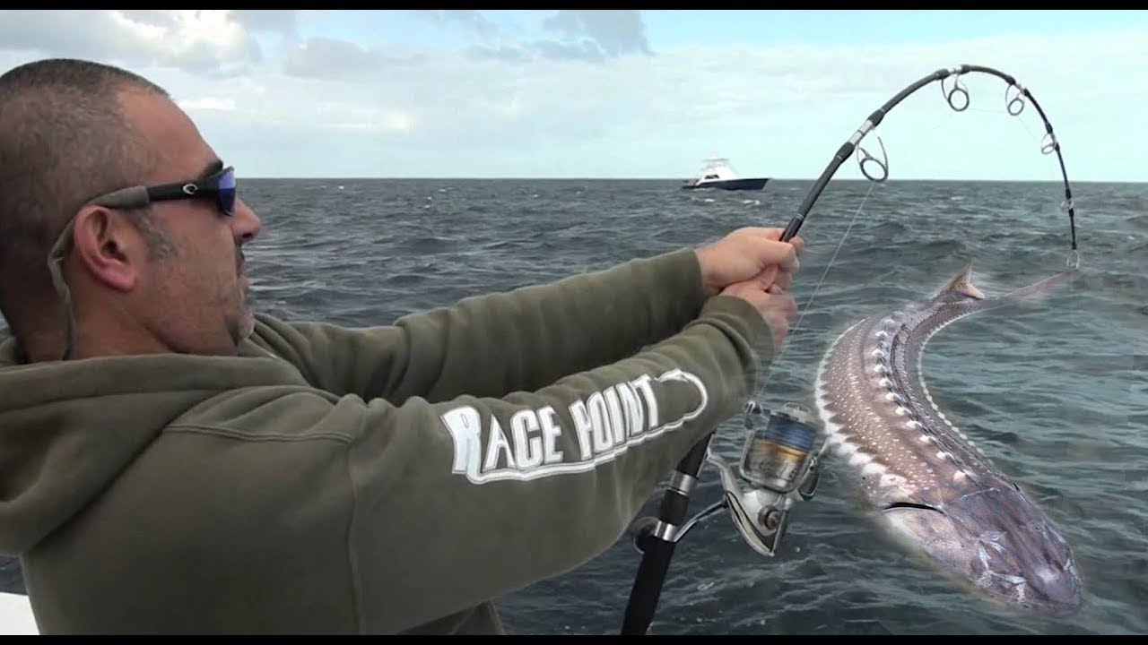 Top 5 Big Fish Caught in The Sea are Recorded By Cameras - Amazing ...