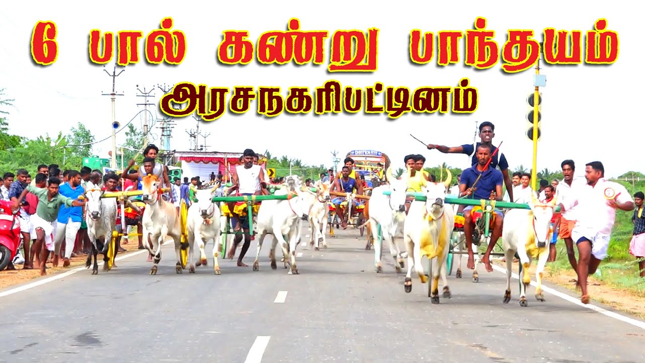 Mimisal-6palkantru avudaiyarkovil.tk #vinayagastudio # ...
