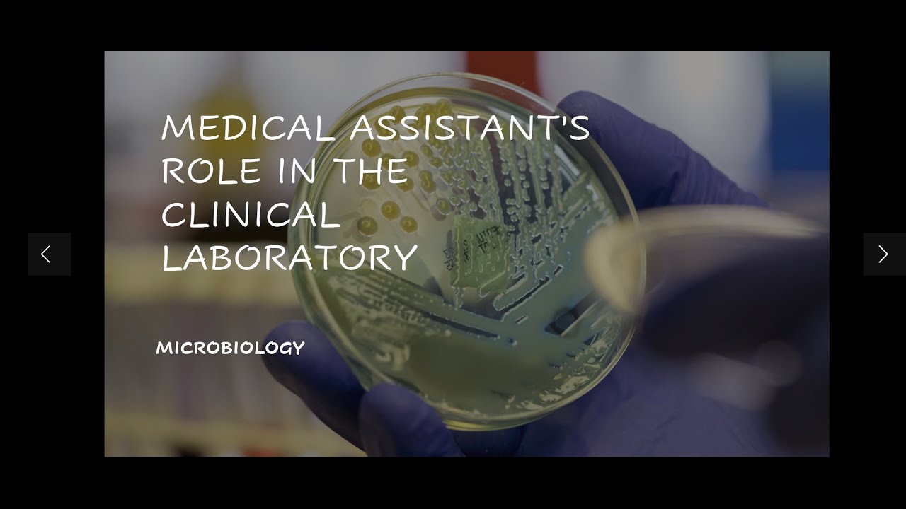THE MEDICAL ASSISTANT'S ROLE IN THE CLINICAL LABORATORY - YouTube