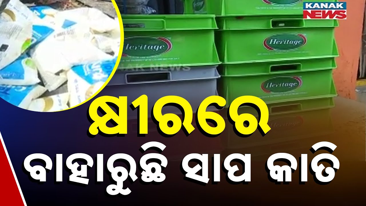 Odisha Raids Andhra Heritage Milk Outlets | Contaminated Curd ...
