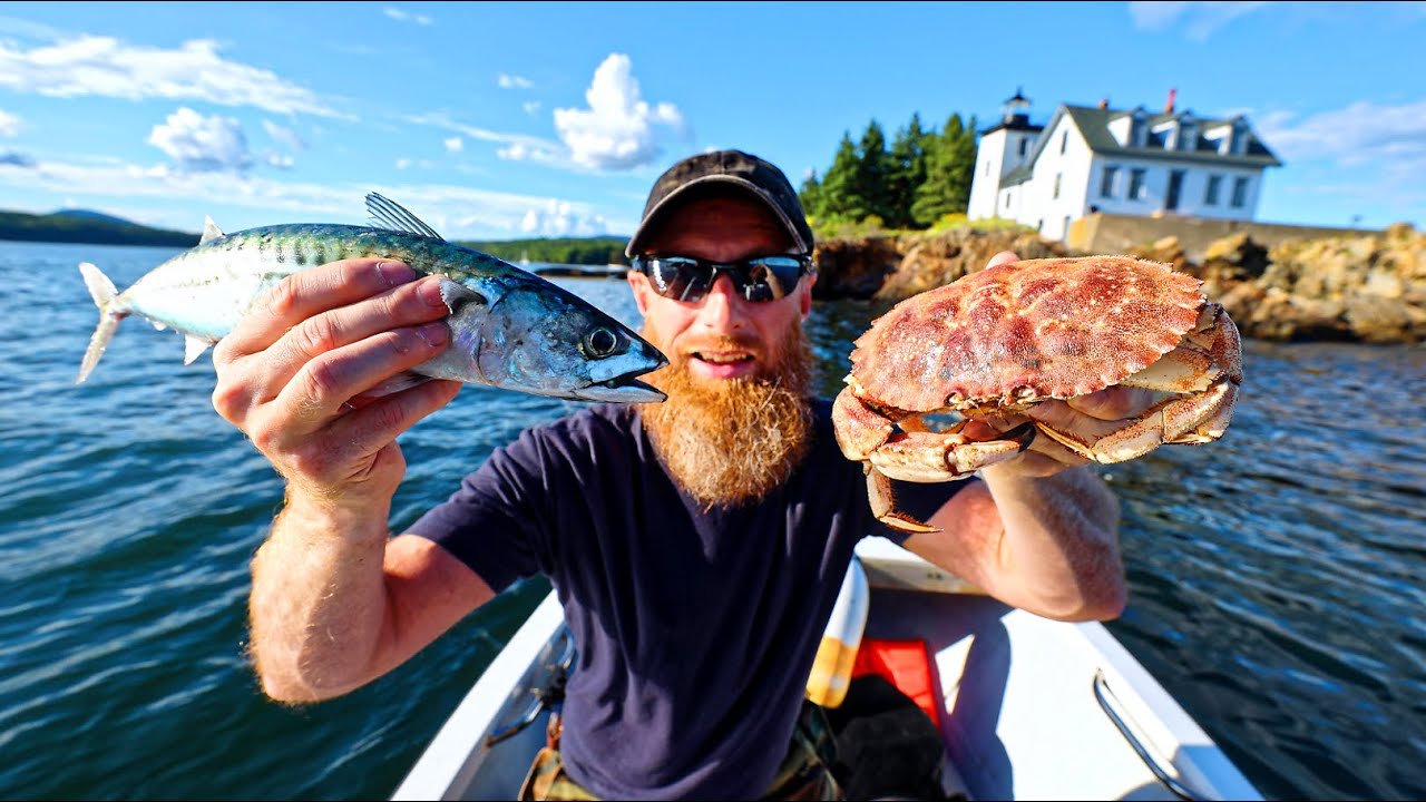 Catch and Cooking WEIRD Sea Creatures - Mackerel, Crab in MAINE (ft ...