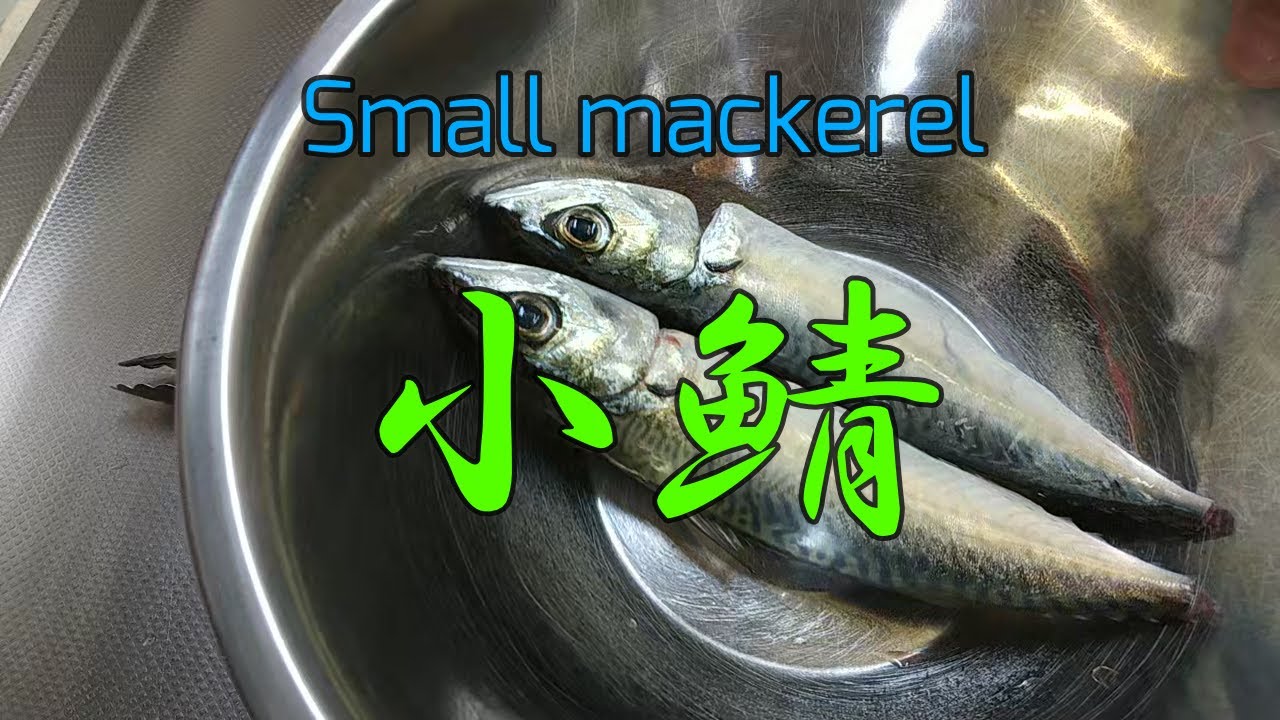 【小鯖】/Small mackerel - YouTube