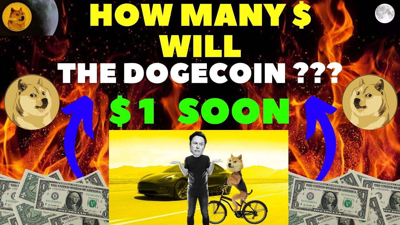 DOGECOIN NEWS TODAY🚨| CAN DOGECOIN REACH $1 ? |🚨DOGECOIN PRICE ...