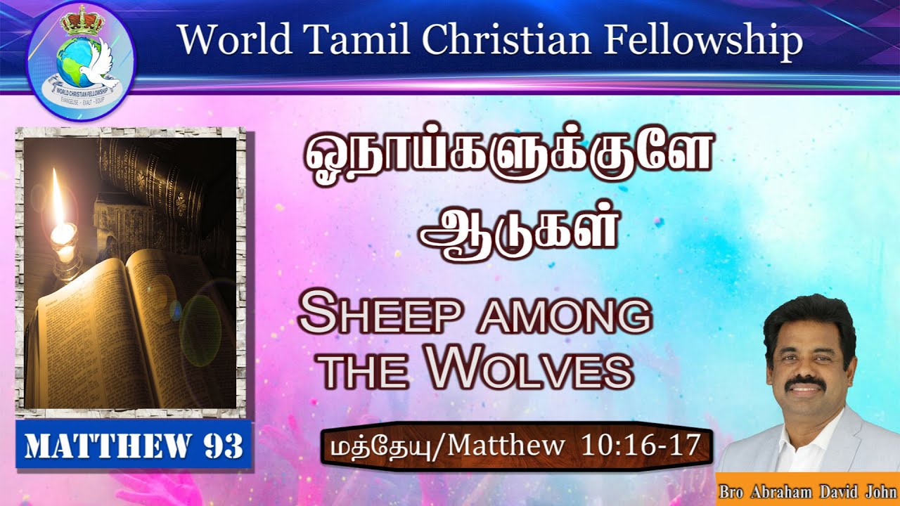93 | Sheep among the Wolves | ஓநாய்களுக்குளே ஆடுகள் | Matthew 10:16-17 ...