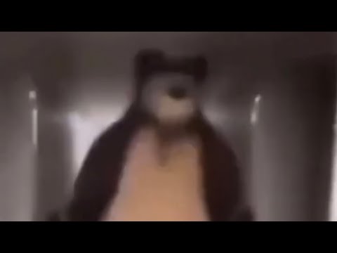 Bear chasing people down hall meme - YouTube