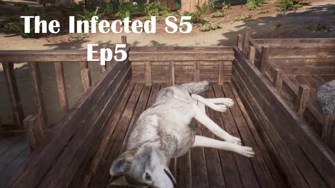 The Infected S5 Ep5 | Storing pesky animals for Winter and MORE! - YouTube