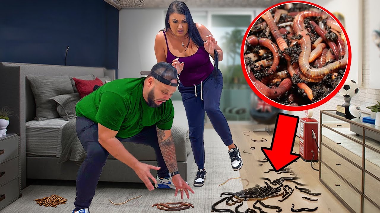 We FOUND WORMS in Our Room... - YouTube