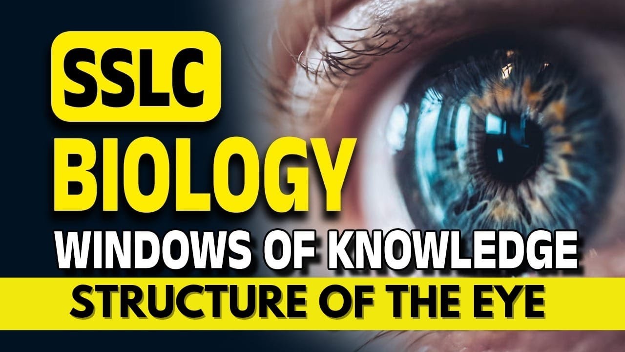 SSLC Biology | Structure of the Eye | Windows of Knowledge |Target ...