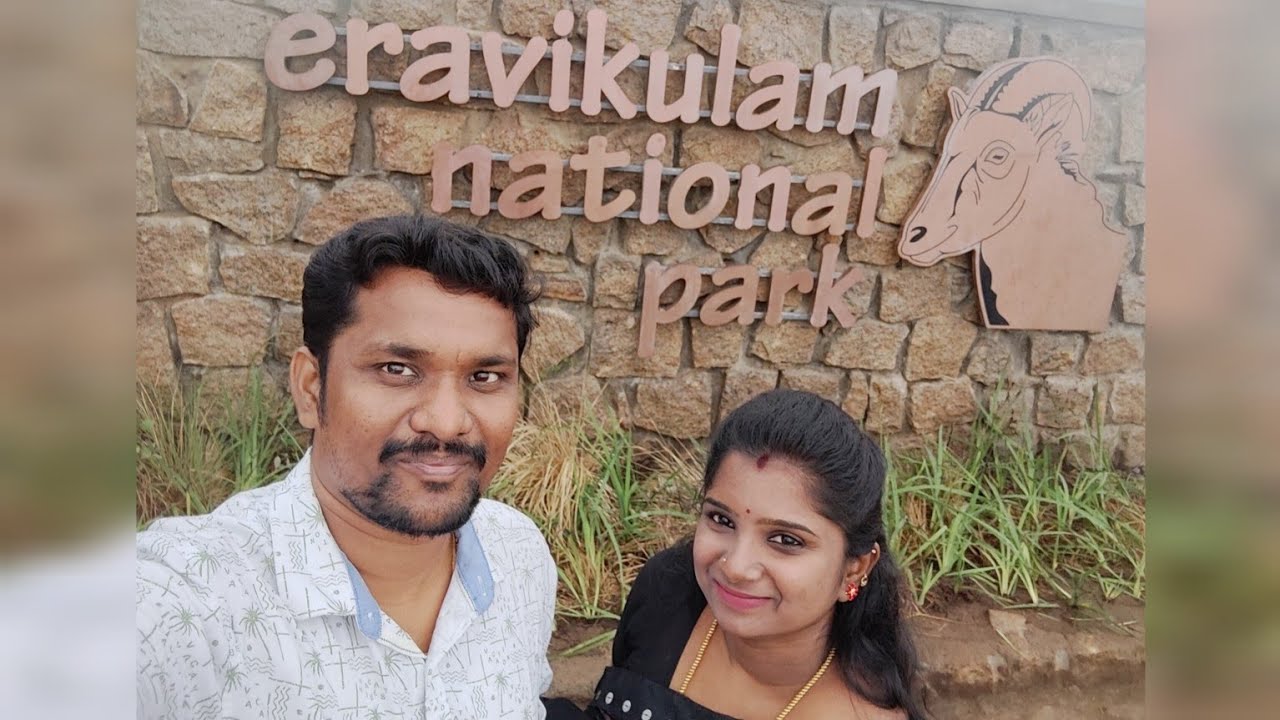 Eravikulam National Park |Rajamala National park | Must watch place in ...
