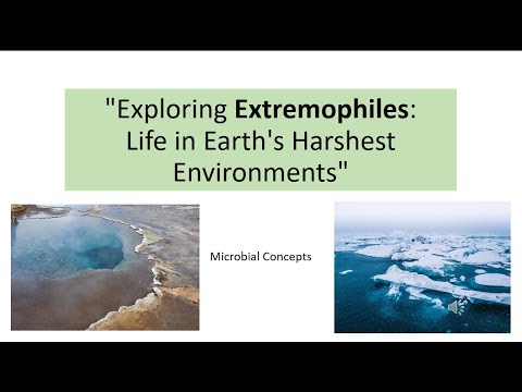 Exploring Extremophiles: Life in Earth's Harshest Environments | MSc ...