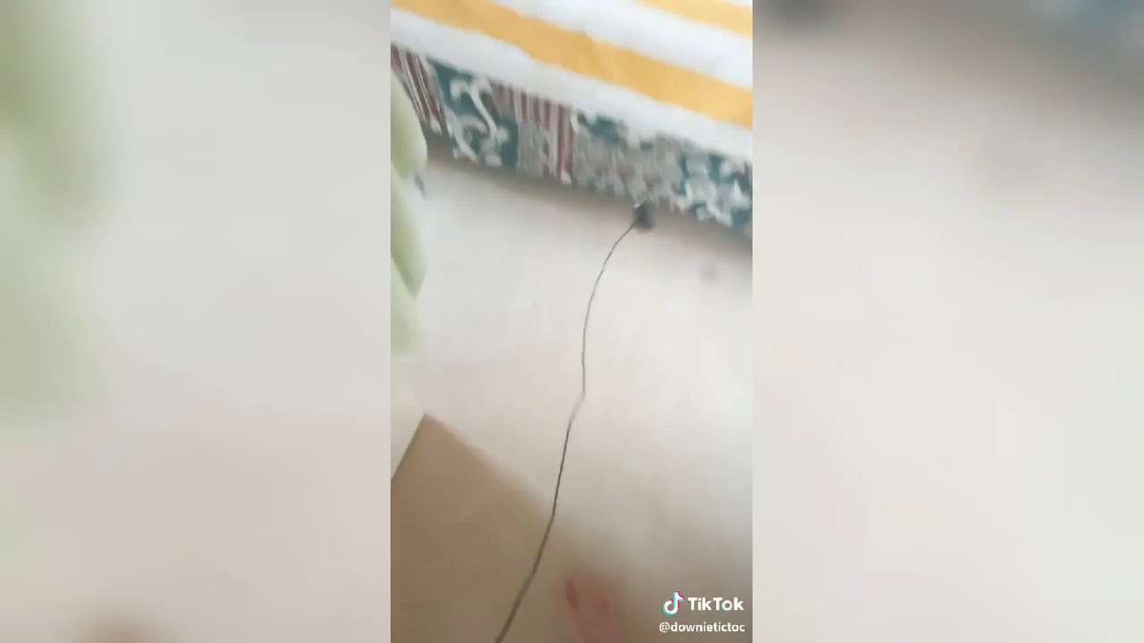 Tic Tok Memes (Plug Walk Meme) Edition V5 - YouTube