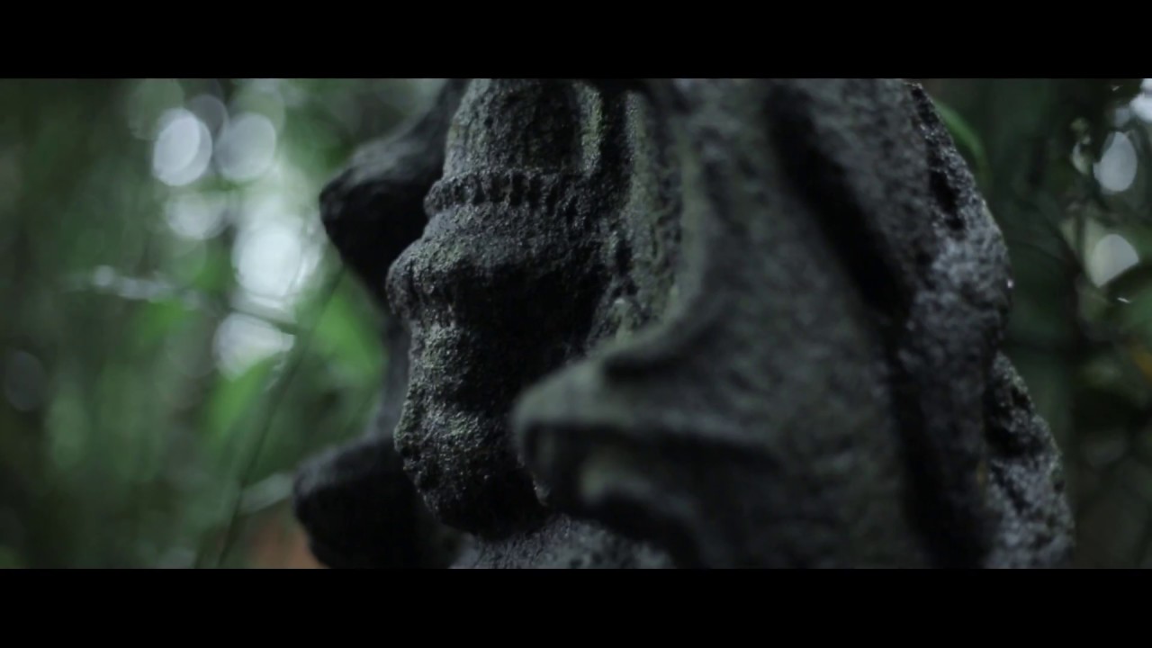 The Serpent Wisdom (2018)