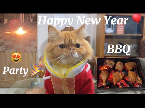 Cherry’s New Year Celebration 🎉 welcome 2026😻