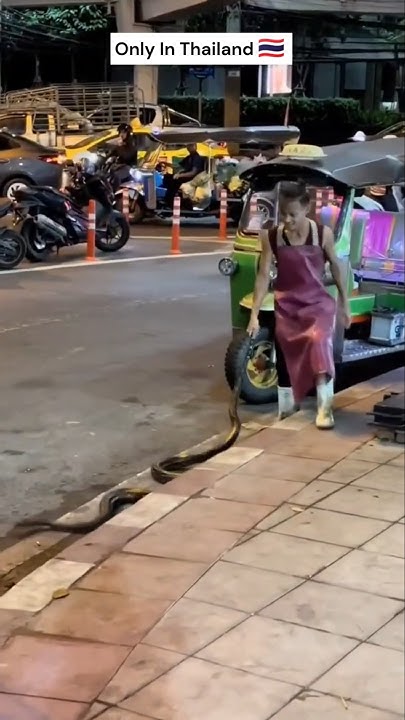 A Food Vendor In Thailand Finds A Big Snake In The Streets of Bangkok🐍 #thailand #bangkok # ...