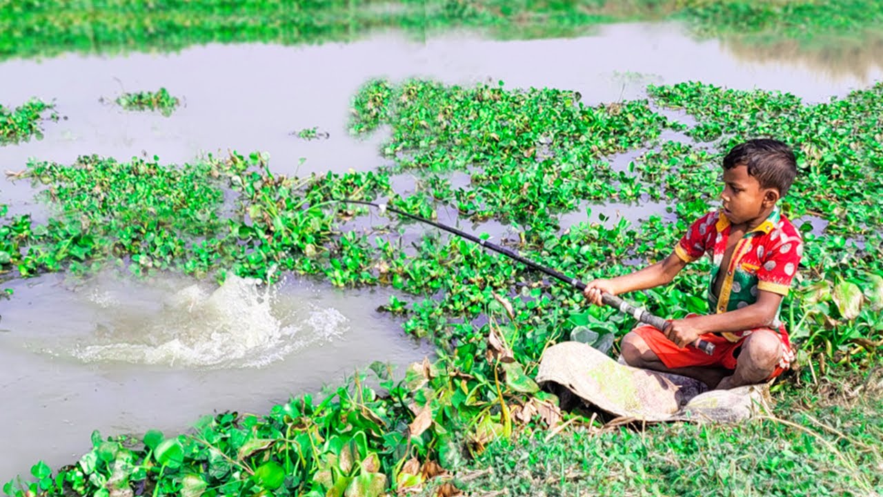 New Amazing Hook Fishing | Catch Fish by Fish Hook From pond With ...
