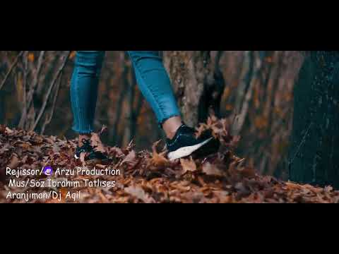 Resmiye Hüseyinova aramam (remix)