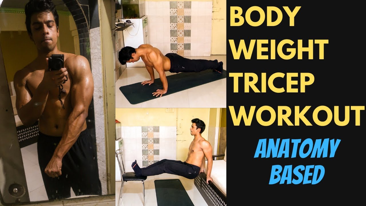 Body Weight Triceps Workout | Triceps Home Workout | Anatomy Based ...