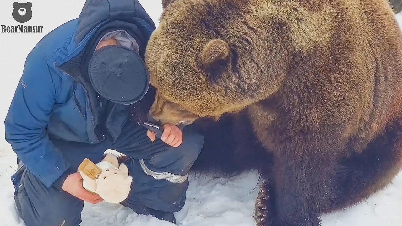 Вы так же проводите выходные?🐻😃/Bear Mansur - YouTube