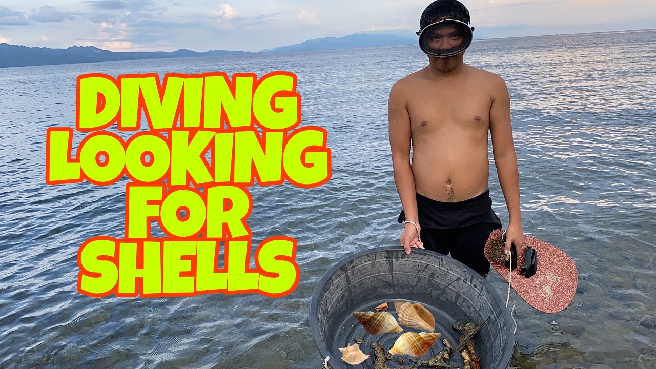 DAMING LISWE (SHELLS) LOW TIDE - YouTube