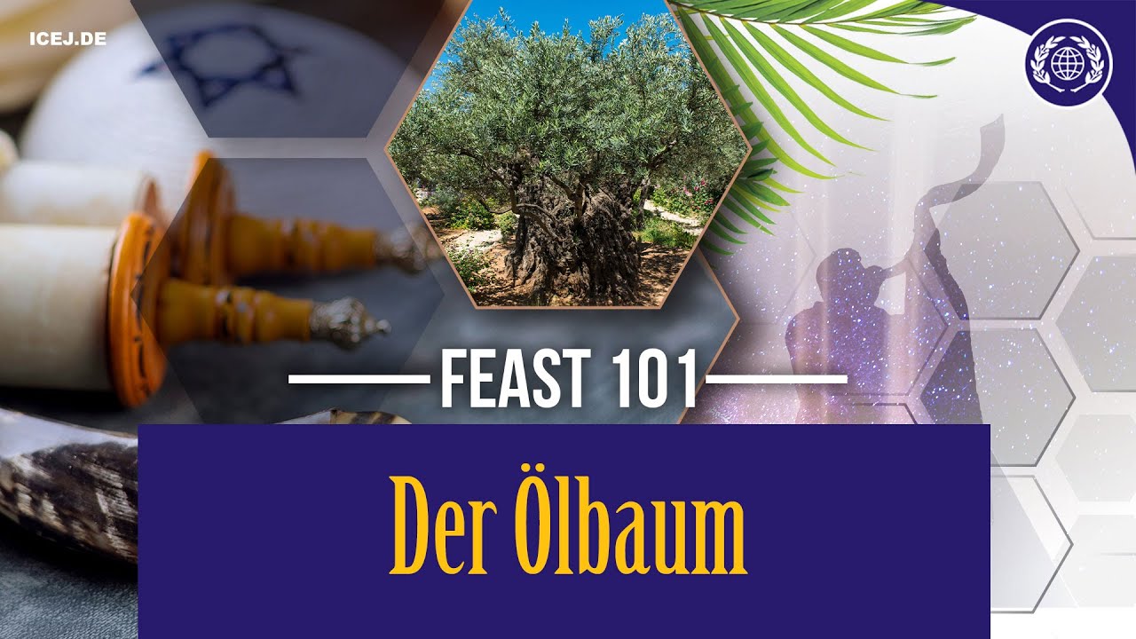 Laubhüttenfest 101: Der Ölbaum - YouTube