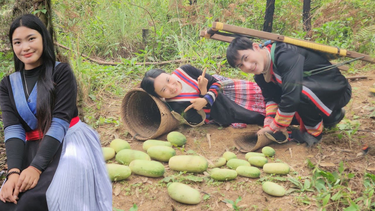 Zaum no paj yeeb yuav ua kom vaj yim rov los hlub paj yeeb xwb2 ma thiaj tag - YouTube