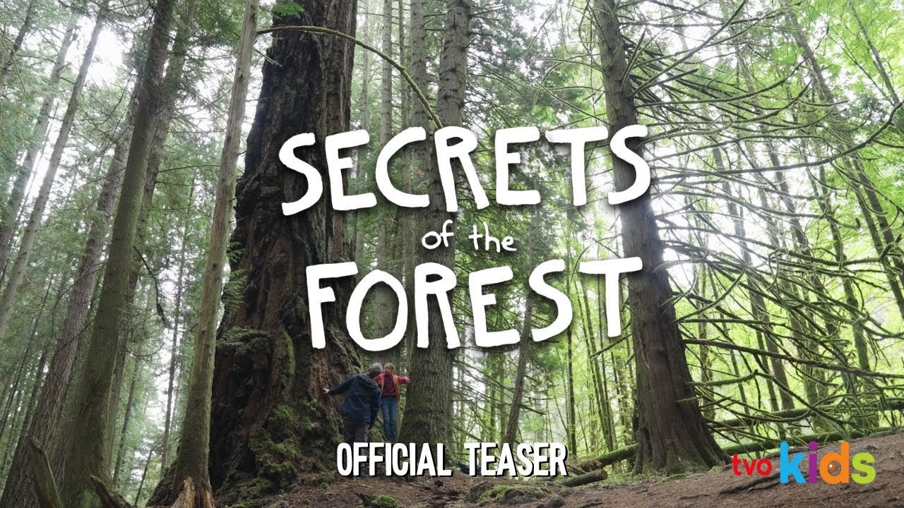 Secrets of the Forest | OFFICIAL TEASER | TVOKids - YouTube
