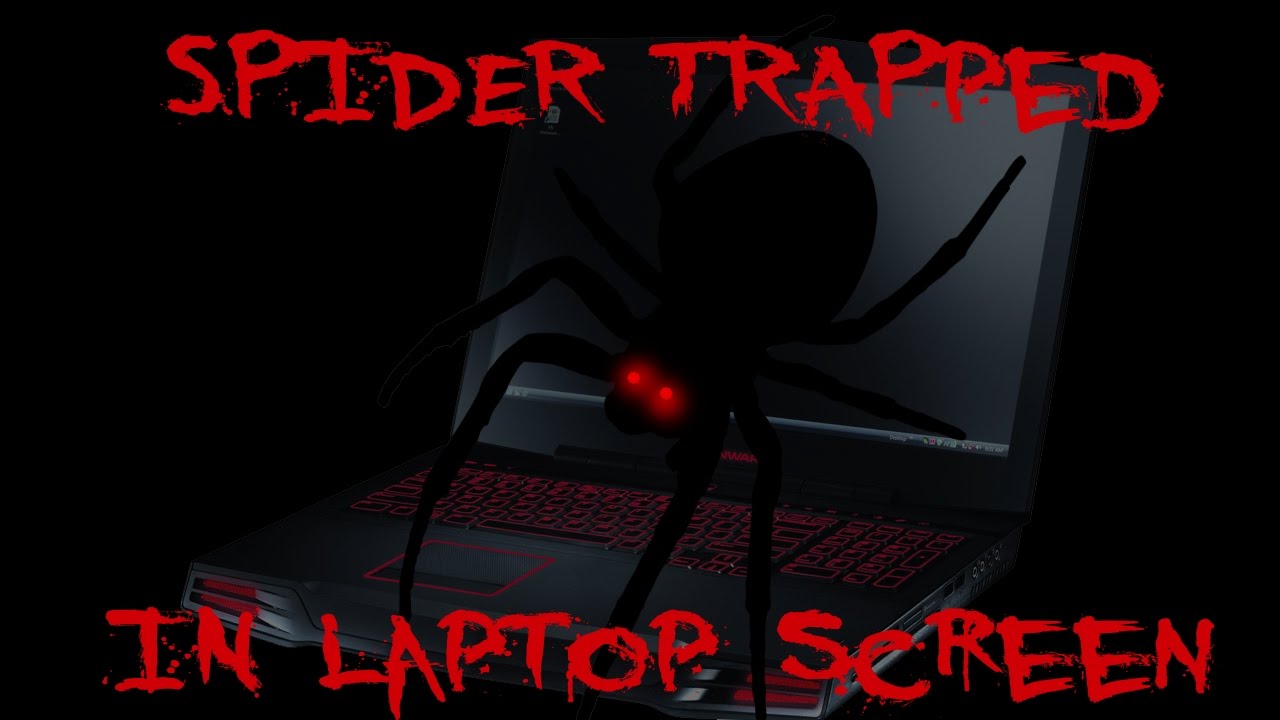 Vlog: Spider trapped in my laptop screen! - YouTube