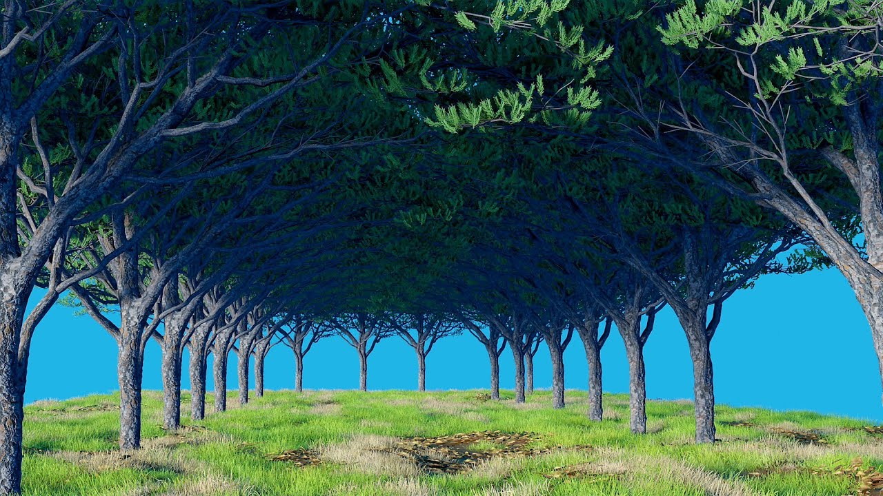 modeling trees in blender|blender tutorial - YouTube