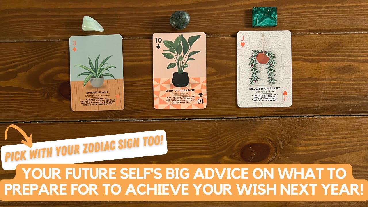 Your Future Self's Big Advice on What to Prepare For to Achieve Your ...