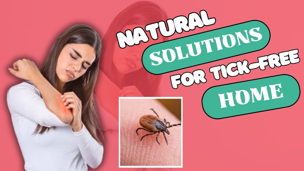 How To Get Rid Of Ticks In Your Home Naturally?? - YouTube