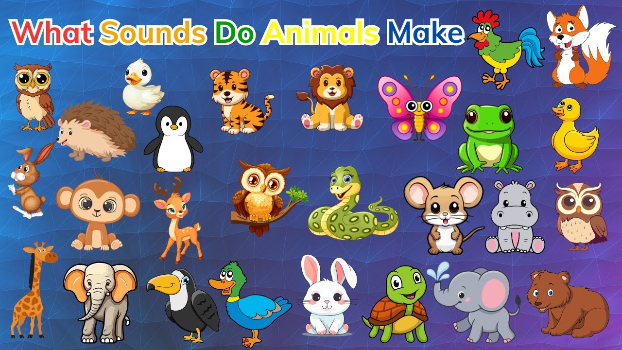 Animal Sounds Song | Learn Animal Calls with Fun Rhymes 🎶🐘🦁 - YouTube