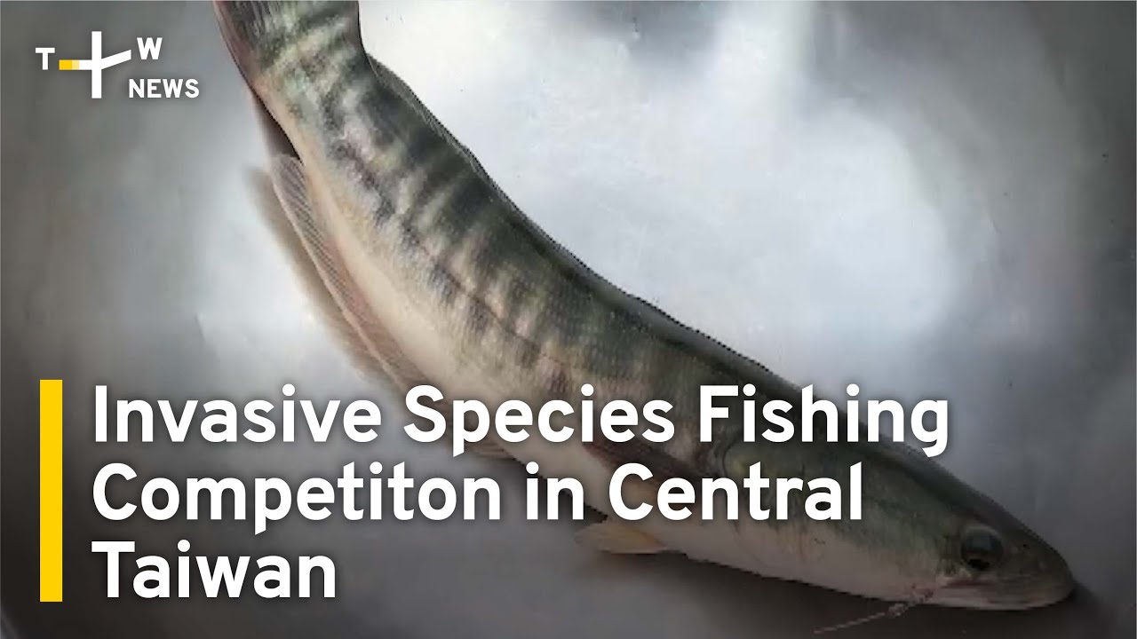 Invasive Species Fishing Competition in Central Taiwan | TaiwanPlus ...