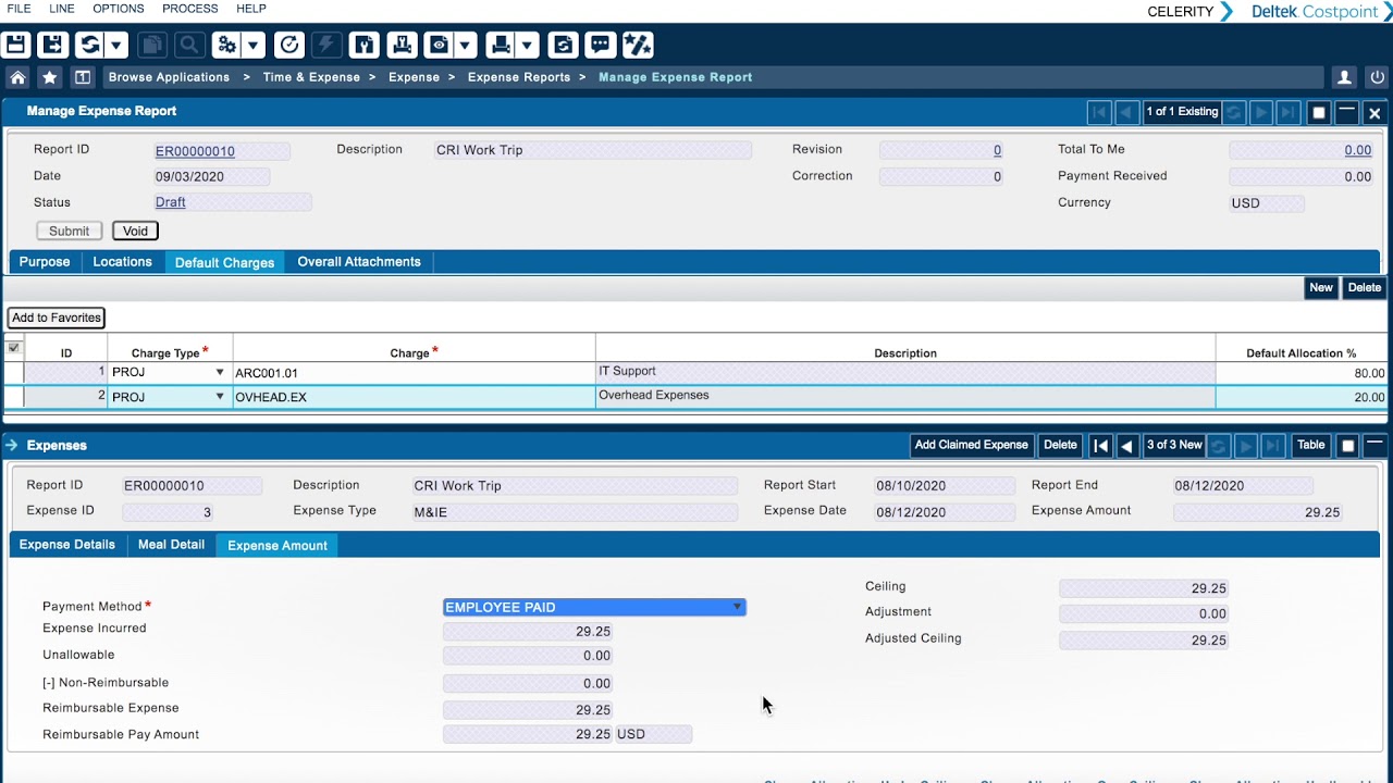 Deltek Time & Expense 10: Expense Reports - YouTube