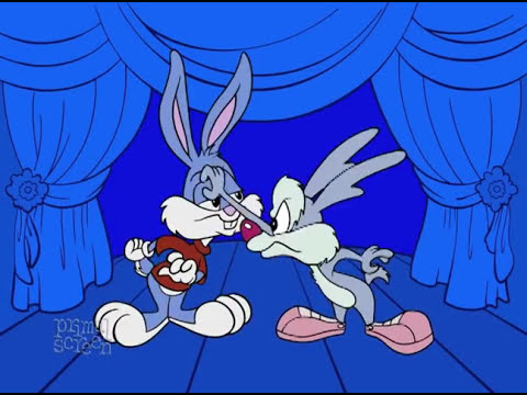 CN: Tiny Toons (TNT PD3)